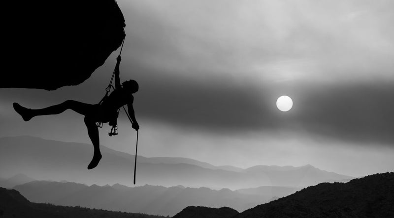 What is the LIVEHARD Program? | Andy Frisella