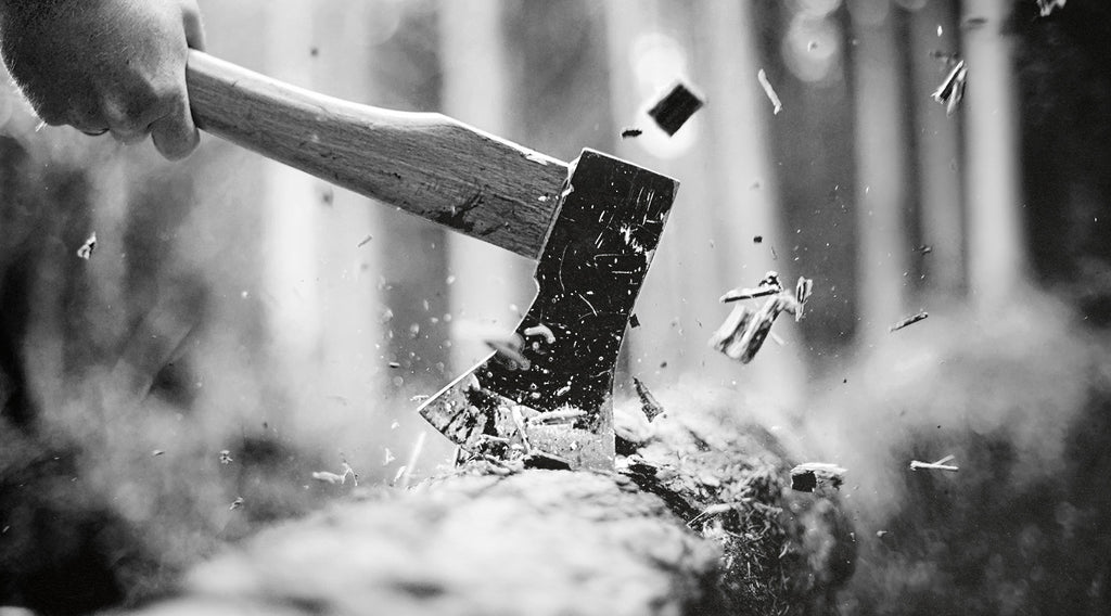 dedication hard work